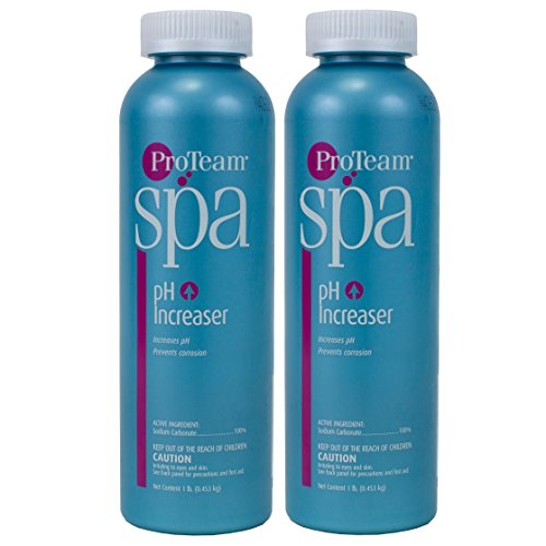 ProTeam Spa pH Increaser (1 lb) (2 Pack)