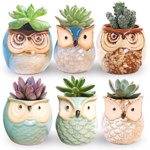 rose create 6 pcs 2.5 inches owl pots, little ceramic succulent bonsai pots with a hole - pack of 6