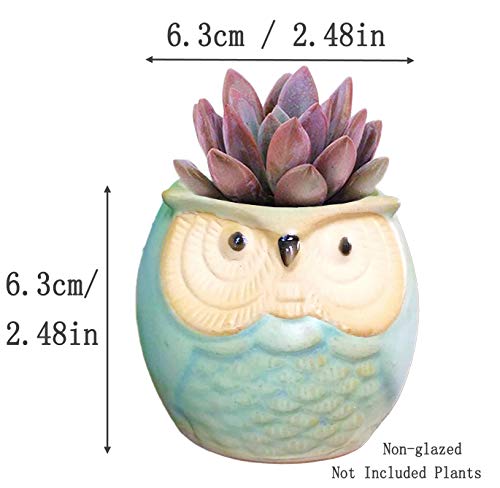 ROSE CREATE 6 Pcs 2.5 Inches Owl Pots, Little Ceramic Succulent Bonsai Pots with a Hole - Pack of 6