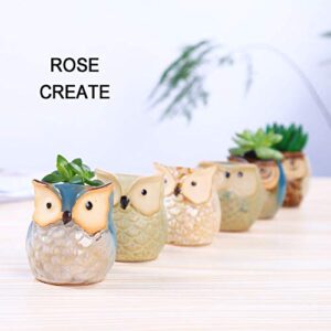 ROSE CREATE 6 Pcs 2.5 Inches Owl Pots, Little Ceramic Succulent Bonsai Pots with a Hole - Pack of 6