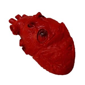 novelty giant www.noveltygiant.com life size foam heart gory halloween prop