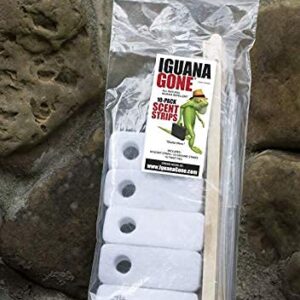 IGUANA GONE 16 OZ with Scent Strips