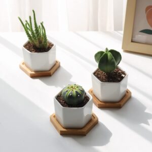 T4U Small White Succulent Planter Pots with Bamboo Tray Hexagon Set of 2, Geometric Cactus Plant Holder Container for Home Office Table Desk Decoration for Mom Aunt Sisiter Gardener