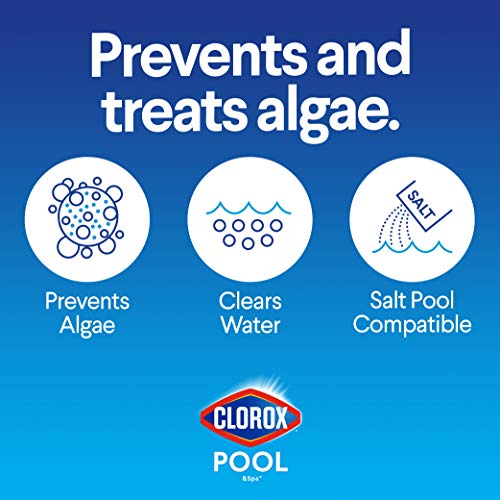 Clorox Pool&Spa 43128CLX 42128CLX Pool Algaecide