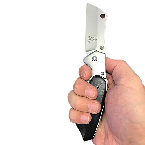 Wartech Buckshot Thumb Open Spring Assisted Stainless Steel Handle with Inlay Classic Razor Pocket Knife (Black)