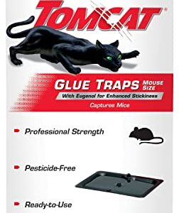 Tomcat Rat Trap with Immediate Grip Glue for Rats, Mice, Snakes, Cockroaches, Spiders, and Scorpions, Ready-to-Use, 6 Count (Pack of 12)