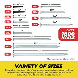 Top Quality Nail Assortment Kit – Over a 1800 Multipurpose Hardware Nails - 11 Different Sizes – Non Bendable & Sturdy - Compact Organized Box