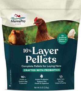 manna pro chicken feed | 16% chicken food with probiotic pellets, chicken layer feed | 8 pounds