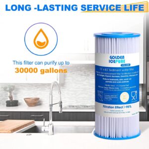 GOLDEN ICEPURE 5 Micron 10" x 4.5" Whole House Sediment Pleated Water Filter Compatible for DuPont WFHDC3001, GE FXHSC, Culligan R50-BBSA, R50-BB, W50PEHD, GXWH40L, CP5-BBS 2-PACK