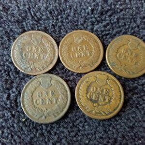 1900 thru 1909 Various Indian Head Pennies 5 Different Dates - in Gift Bag Indian Head Good and Better