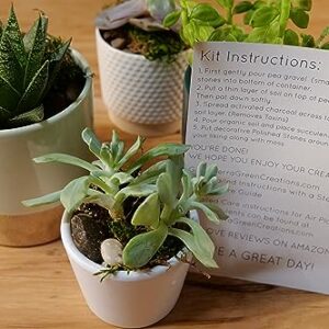 TerraGreen Creations Succulent Planter Kit with Soil, Gravel, Pebble, Moss, Horticulture Charcoal, Supplies For Fairy Gardens, or Cactus - Create Your Own Terrarium