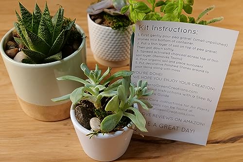 TerraGreen Creations Succulent Planter Kit with Soil, Gravel, Pebble, Moss, Horticulture Charcoal, Supplies For Fairy Gardens, or Cactus - Create Your Own Terrarium