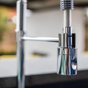 Gerber Plumbing The Foodie Pull-Down Pre-Rinse Kitchen Faucet