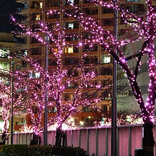 Christmas Lights Fairy Lights 33ft 100 LED Outdoor String Lights with Memory Modes Controller, Extendable Chirstmas Decorations for Tree, Wedding, Christmas, Valentine, Patio, Indoor Outdoor (Pink)