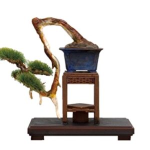 Platz 1/12 The-bonsai See Plastic model BON-03