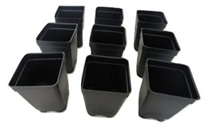 2.5" square extra deep landmark nursery pots - press fit (100)