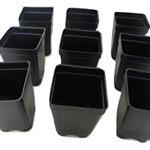 2.5" Square Extra Deep Landmark Nursery Pots - Press Fit (100)