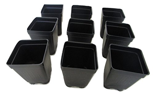 2.5" Square Extra Deep Landmark Nursery Pots - Press Fit (100)