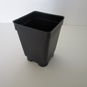 2.5" Square Extra Deep Landmark Nursery Pots - Press Fit (100)