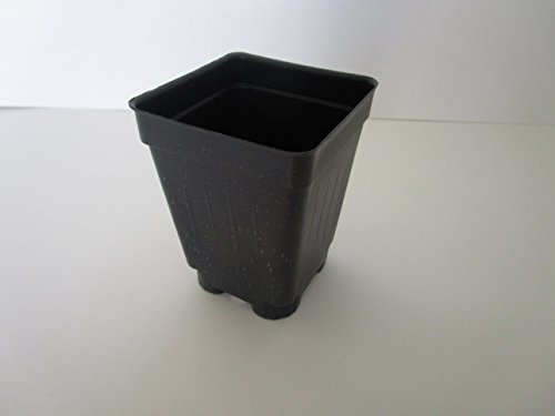 2.5" Square Extra Deep Landmark Nursery Pots - Press Fit (100)