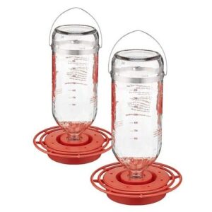 2 pack of best-1 glass hummingbird feeders, 32 oz. each