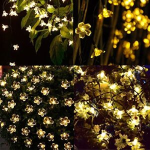 Fairy Lights Christmas Decorative Flower String Lights 33 Feet 100 LEDs, 8 Flash Modes with Tail Plug Connectable Cherry Flower Decorations Novelty Light for Party, Patio, Wedding, Home and Garden