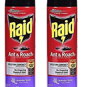 Raid Ant & Roach Killer Lavender, 17.5 Oz (Pack - 2), 16 Lb