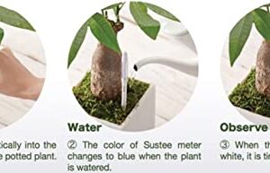 Sustee Aquameter (2 Green, Medium) - Plant Soil Moisture Meter, Monitor, Probe, Indicator - Best for Potted Plants - Package of 2 Sensors