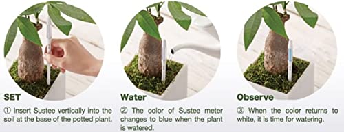 Sustee Aquameter (2 Green, Medium) - Plant Soil Moisture Meter, Monitor, Probe, Indicator - Best for Potted Plants - Package of 2 Sensors