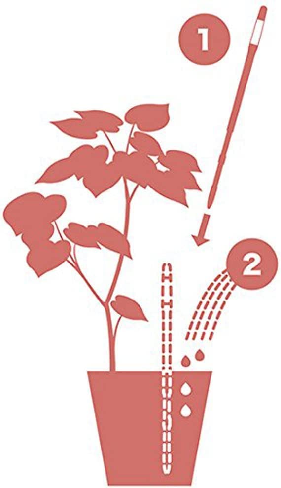 Sustee Aquameter (2 Green, Medium) - Plant Soil Moisture Meter, Monitor, Probe, Indicator - Best for Potted Plants - Package of 2 Sensors