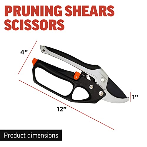 Piranha Pruner Bonsai Shear 60mm Stainless Blade