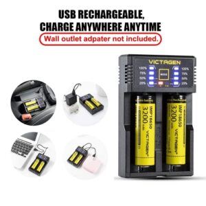 VICTAGEN Universal Smart Charger, Speedy 18650 Battery Charge for 3.7V Batteries 14500 Lithium ion 18490 18350 17670 17500 16340(RCR123), Ni-MH Ni-CD C IMR 10440 AA, AAA Rechargeable Battery