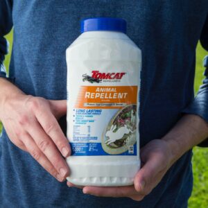 Tomcat Repellents Animal Repellent Granules1 - Repels Rabbits, Squirrels, Groundhogs and Other Small Animals, Contains Essential Oils, Long Lasting, No Stink, Rain-Resistant, 2 lbs.