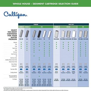 Culligan Sediment Water Filter Replacement Cartridges-2 pk (Pack of 6)