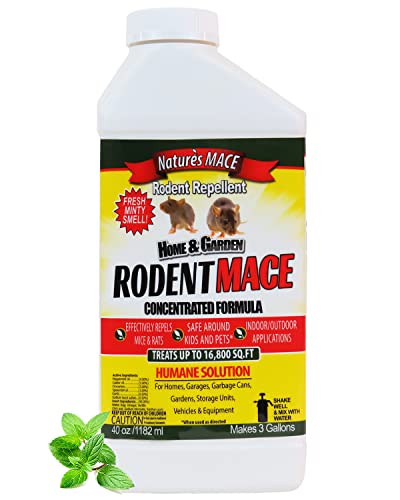 Nature’s MACE Rodent Repellent 40oz Concentrate/Covers 16,800 Sq. Ft. / Repel Mice & Rats/Keep mice, Rats & Rodents Out of Home, Garage, attic, and Crawl Space/Safe to use Around Children & Pets