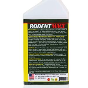 Nature’s MACE Rodent Repellent 40oz Concentrate/Covers 16,800 Sq. Ft. / Repel Mice & Rats/Keep mice, Rats & Rodents Out of Home, Garage, attic, and Crawl Space/Safe to use Around Children & Pets