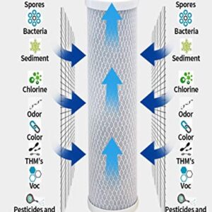 CFS – 2 Pack Whole House Replacement Cartridge Compatible with Hydrologic 100, 200 Filter – Remove Bad Taste & Odor – Includes Carbon Block Filter & Polypropylene Sediment Filter Cartridge - 5 Micron