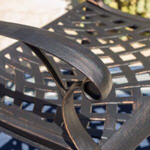 Christopher Knight Home Austin Outdoor Cast Aluminum Dining Chairs, 2-Pcs Set, Shiny Copper