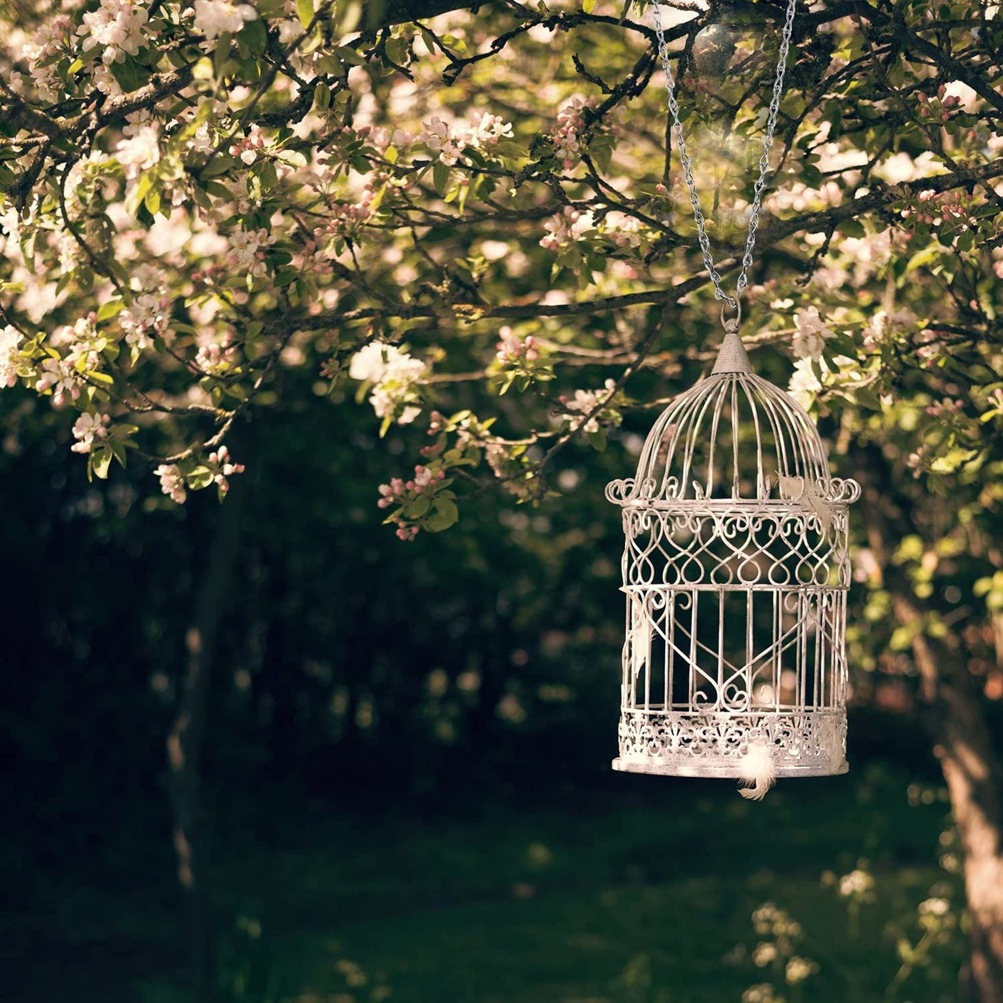 EBOOT 2 Pack 35 Inch Hanging Chain for Bird Feeders, Planters, Lanterns and Ornaments (Silver)