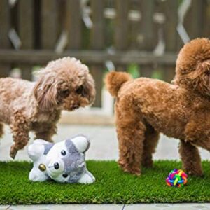 MTBRO Artificial Grass for Dogs, 40in X 28in X 1.5in Dog Potty Grass, Professional Dog Pee Grass, Outdoor Grass Pad for Dogs and Grass for Dogs Potty.