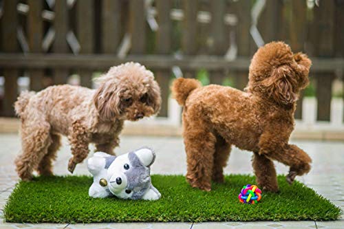 MTBRO Artificial Grass for Dogs, 40in X 28in X 1.5in Dog Potty Grass, Professional Dog Pee Grass, Outdoor Grass Pad for Dogs and Grass for Dogs Potty.