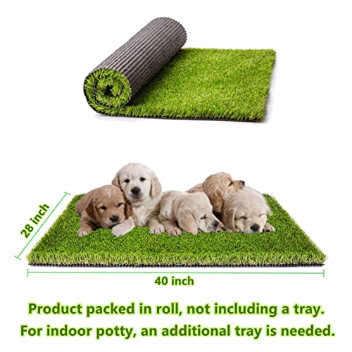 MTBRO Artificial Grass for Dogs, 40in X 28in X 1.5in Dog Potty Grass, Professional Dog Pee Grass, Outdoor Grass Pad for Dogs and Grass for Dogs Potty.