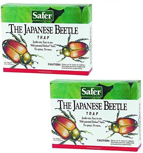 Safer Brand Insect Trap 1 pk