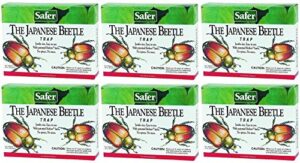 japanese beetle trap