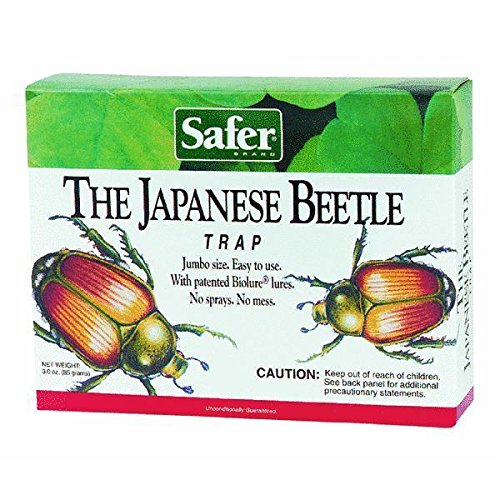 Safer Brand Insect Trap 1 pk