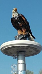 eagle on display flagpole topper finial ball - hand painted usa realistic lifelike