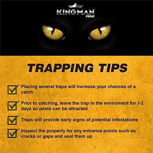 Kingman Prime Rat Mouse Rodent Pest Glue Trap (Large Size) Tray Heavy Duty (1 Pack/ 2 Traps) with Connectors