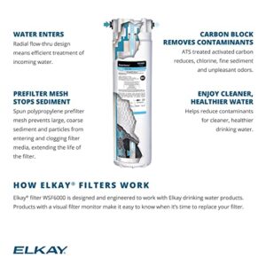 Elkay WSF6000R-2PK WaterSentry Fresh 6000 CTO Filter Replacement, 2-Pack , White