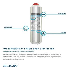 Elkay WSF6000R-2PK WaterSentry Fresh 6000 CTO Filter Replacement, 2-Pack , White