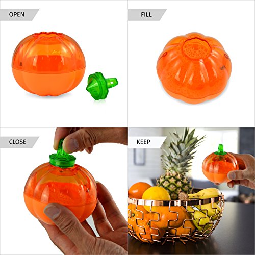 ASPECTEK Fruit Fly Trap Pumpkin Shape, Pack of 2, Orange